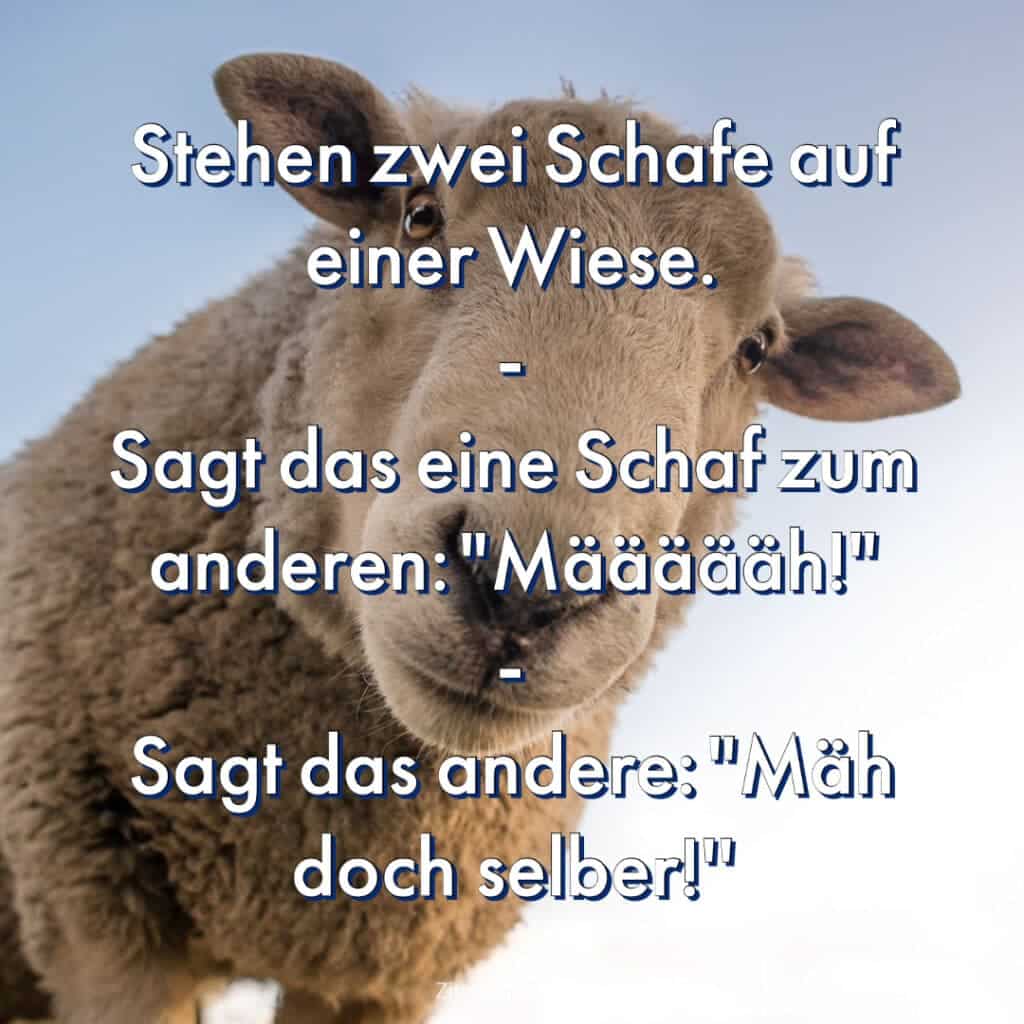 Lustige Witze: mehr als 50 Witze für Kinder und Erwachsene