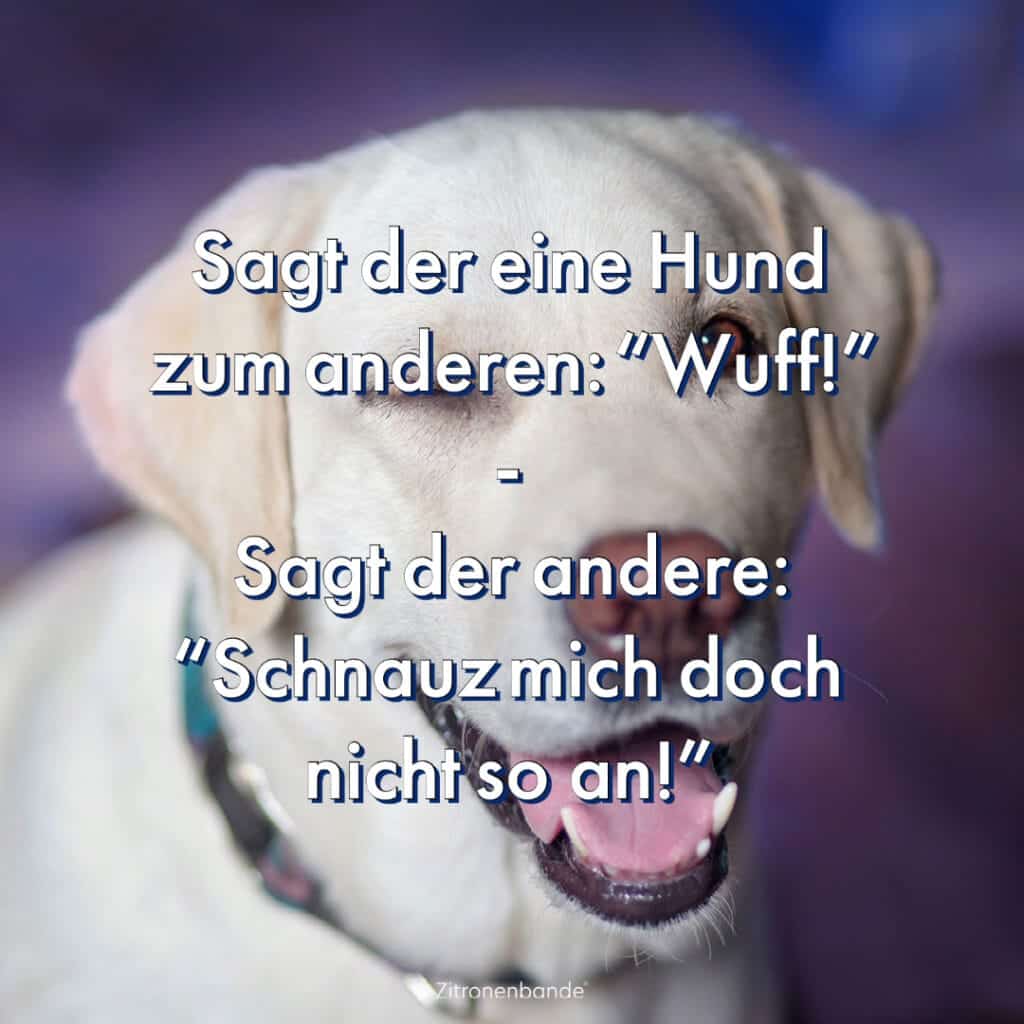 Lustige Witze: mehr als 50 Witze für Kinder und Erwachsene