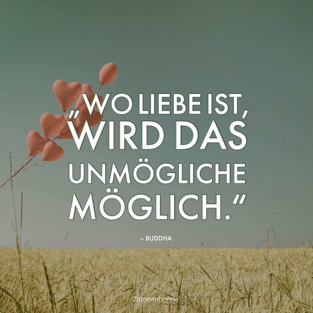 Liebesspr che Die Sch nsten Spr che ber Die Liebe