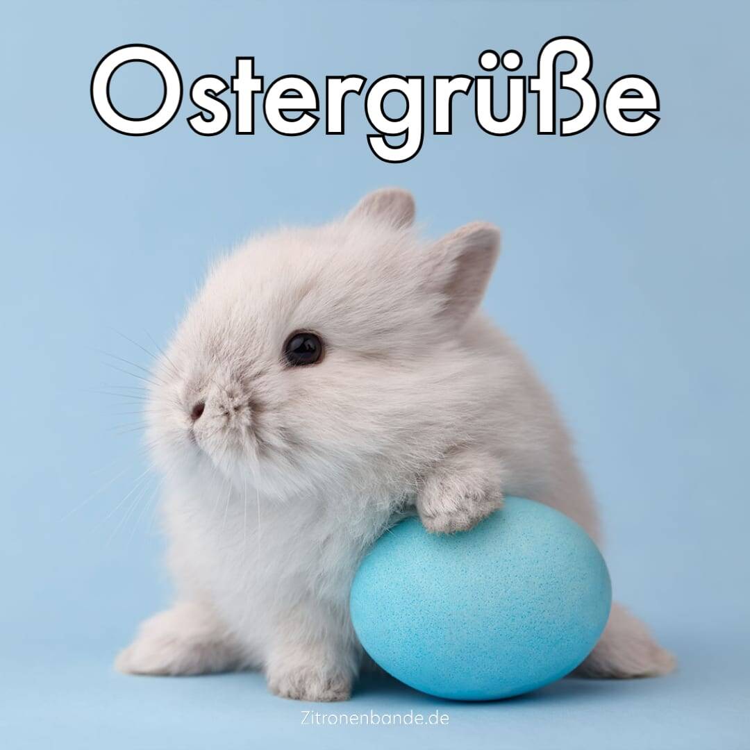 Ostergrüße 2025 - die schönsten Grüße und Bilder zu Ostern