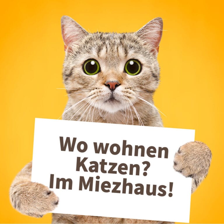 Kinderwitze: die allerbesten Witze für Kinder