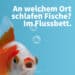 Kinderwitze: die allerbesten Witze für Kinder