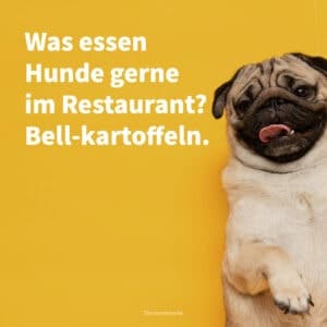 Flachwitze: die besten Kalauer zum Totlachen