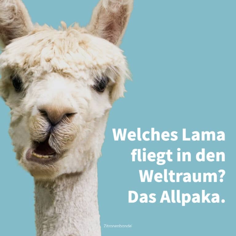 Flachwitze: die besten Kalauer zum Totlachen