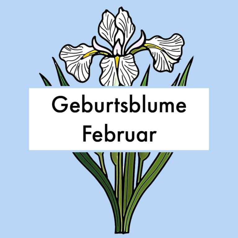 Geburtsblume: Bedeutung & Liste aller Monatsblumen – Zitronenbande